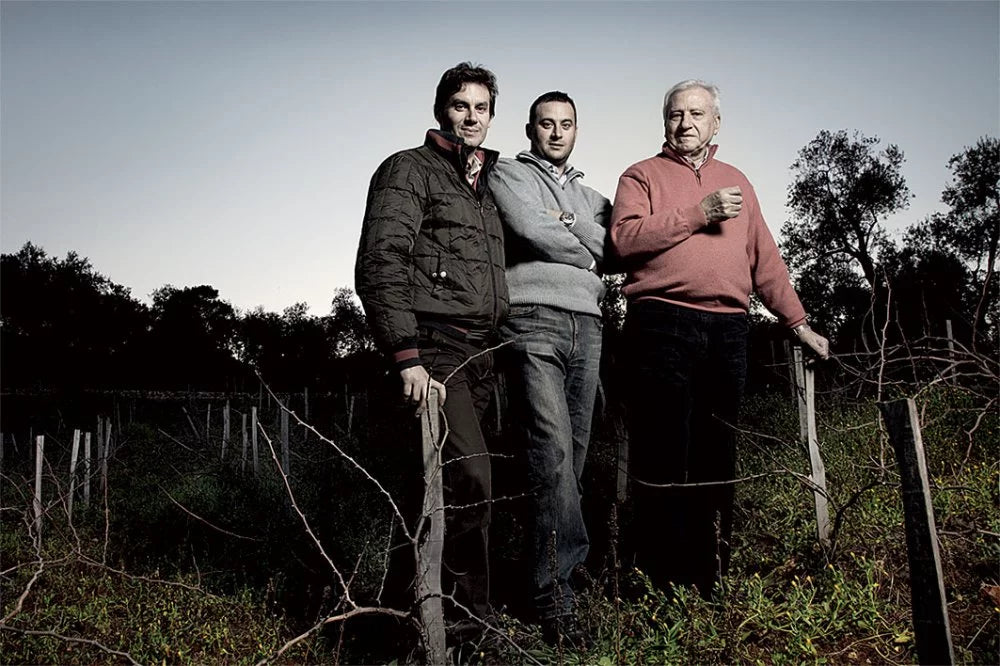Mocavero PUTEUS Salice Salentino Riserva DOC (2018) - Puglia – Passione ...